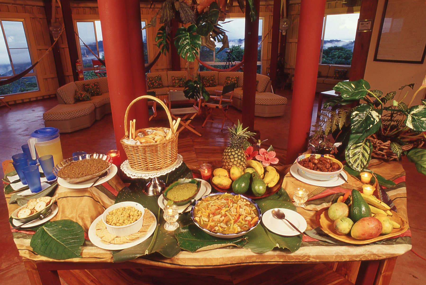 Canopy Tower - The Canopy Family