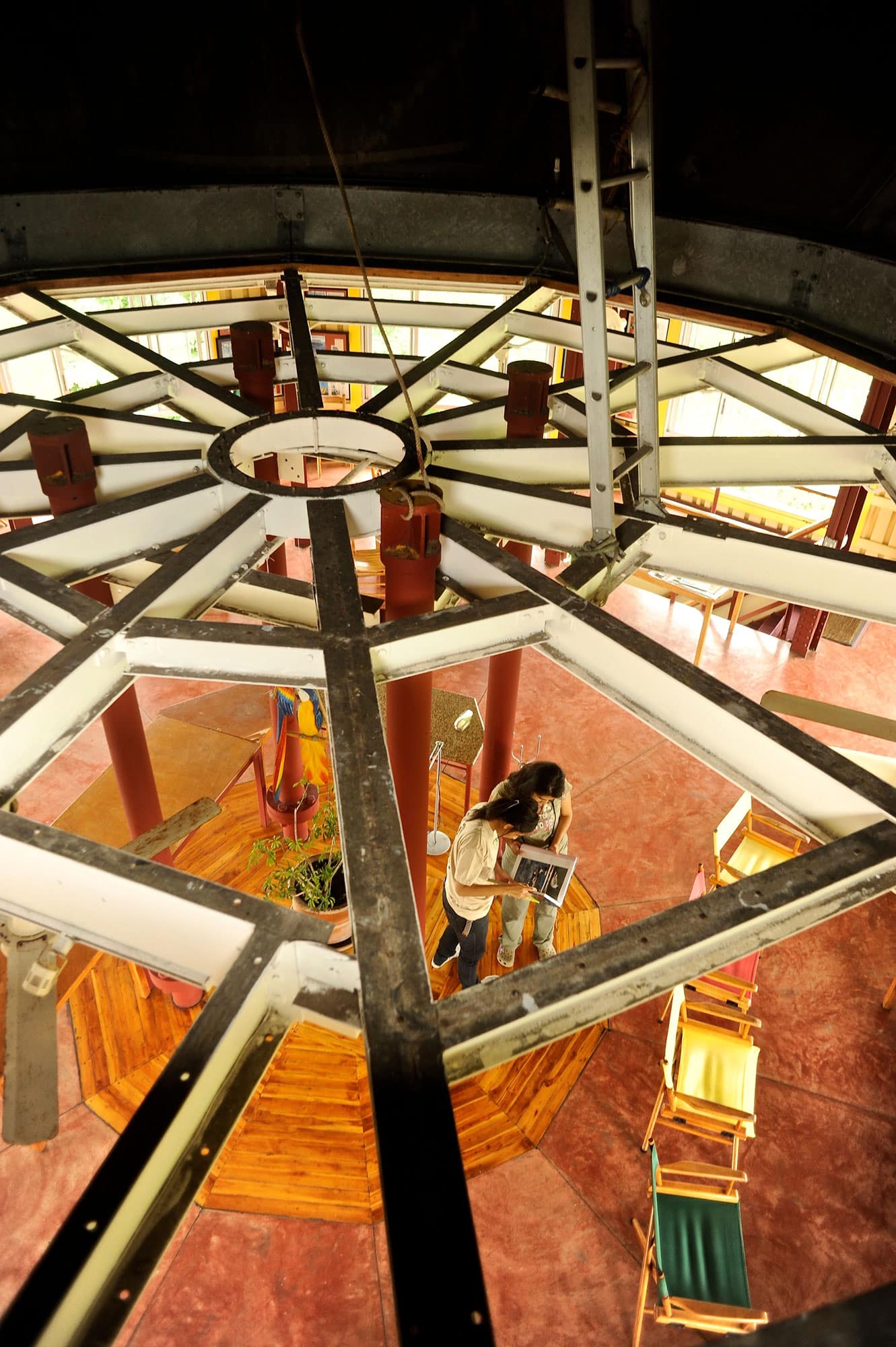 Canopy Tower - The Canopy Family